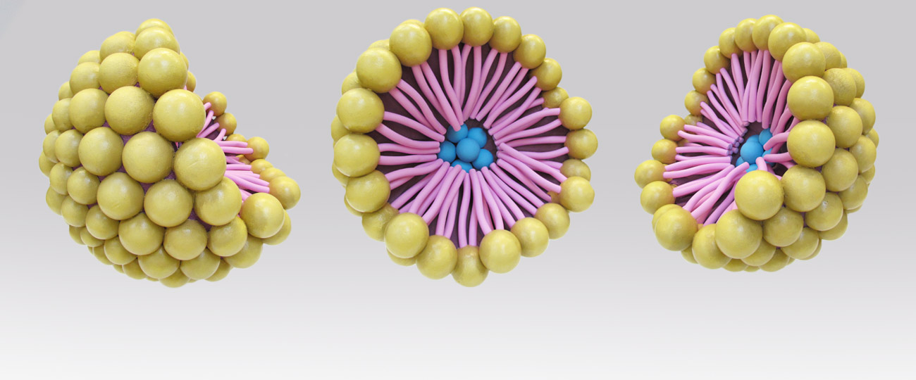 Micelle model - Model Makers Bristol / Amalgam Model Making