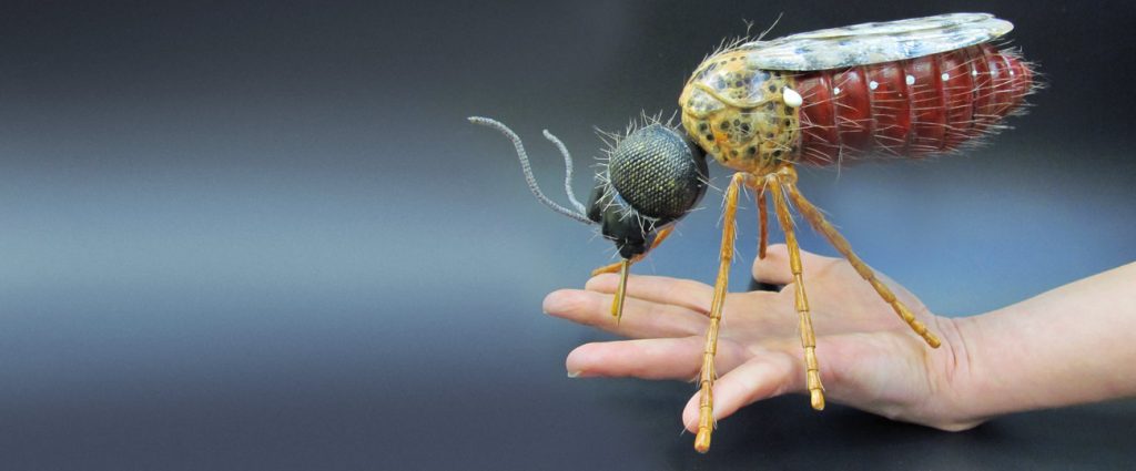 Midge Prop - Model Makers Bristol / Amalgam Model Making