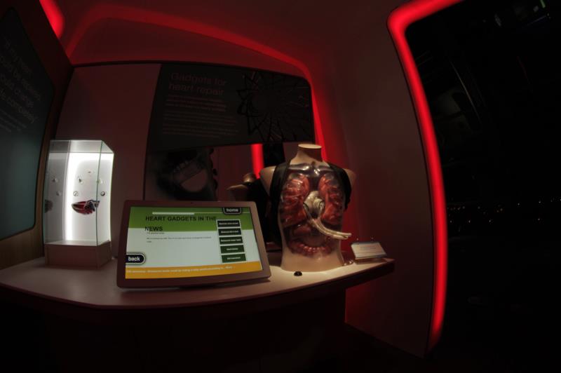 Bodyworks Exhibition at Glasgow Science Centre